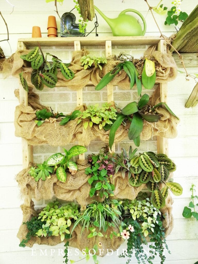 20 Uses for Burlap Fabric in Your Home and Garden — Empress of Dirt