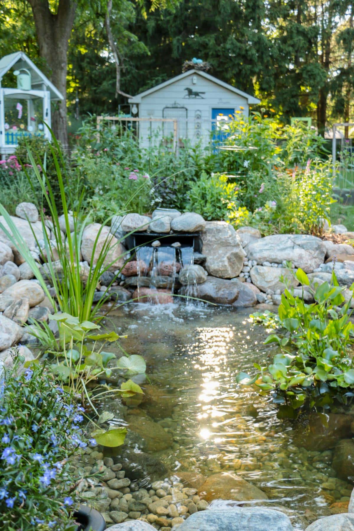 How to Build a Backyard Pond — Empress of Dirt