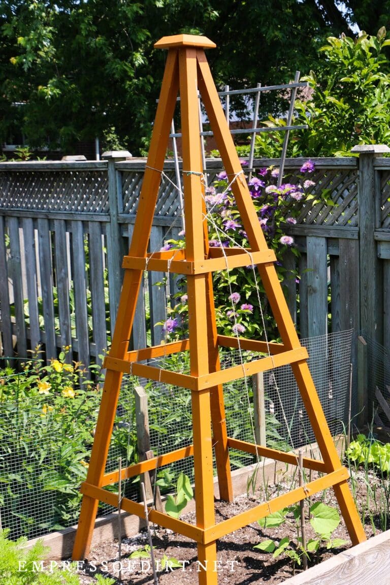 12 Creative Garden Obelisk Ideas — Empress of Dirt