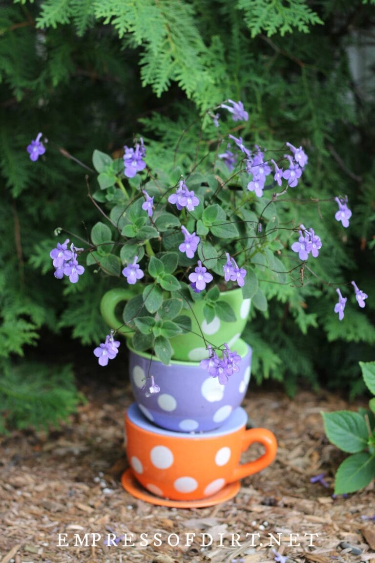 How To Make Tipsy Pots — Empress of Dirt