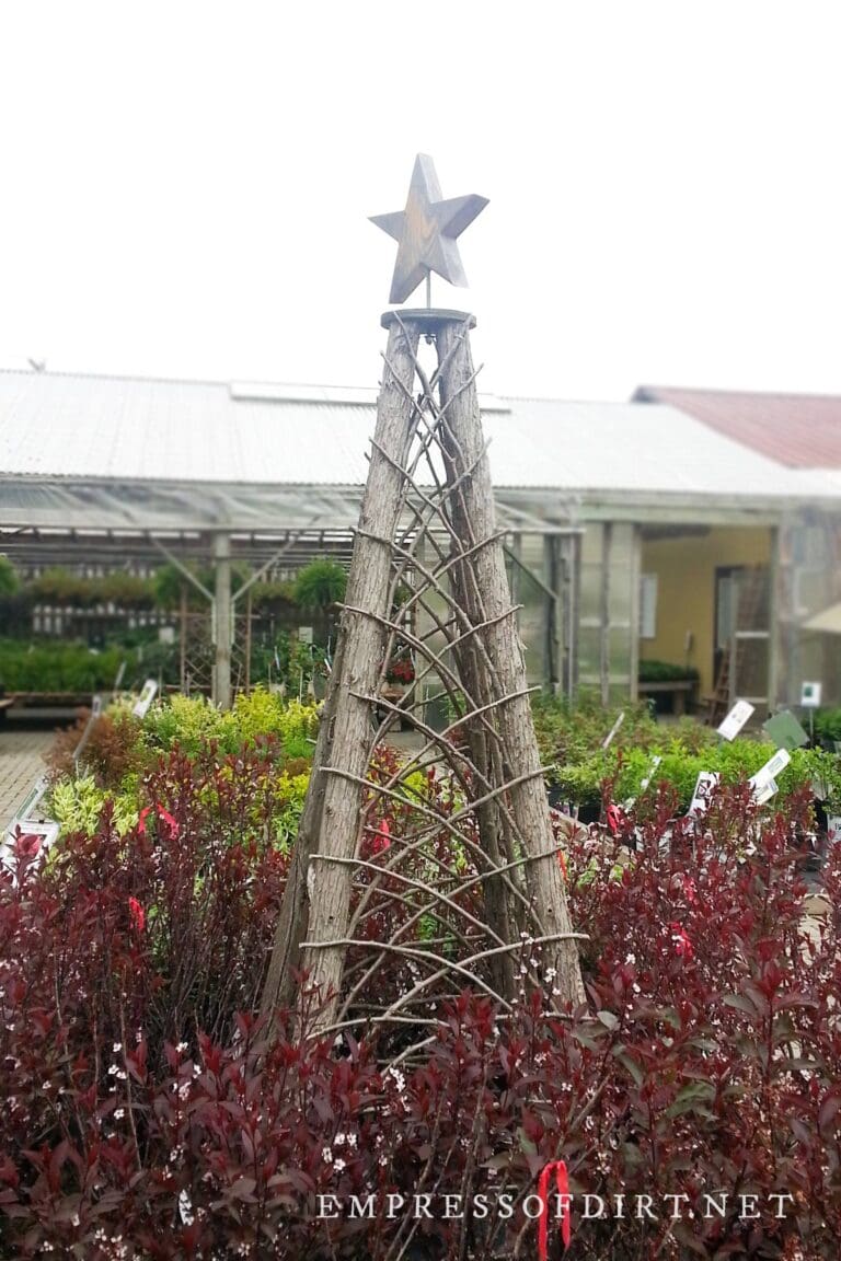 12 Creative Garden Obelisk Ideas — Empress of Dirt
