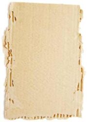 The Cardboard Method For Turning Lawn Into Garden Beds — Empress of Dirt