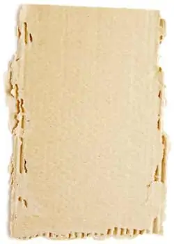 The Cardboard Method For Turning Lawn Into Garden Beds — Empress of Dirt