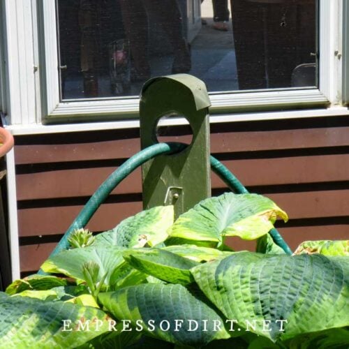 How to Protect Your Plants With Water Hose Guides