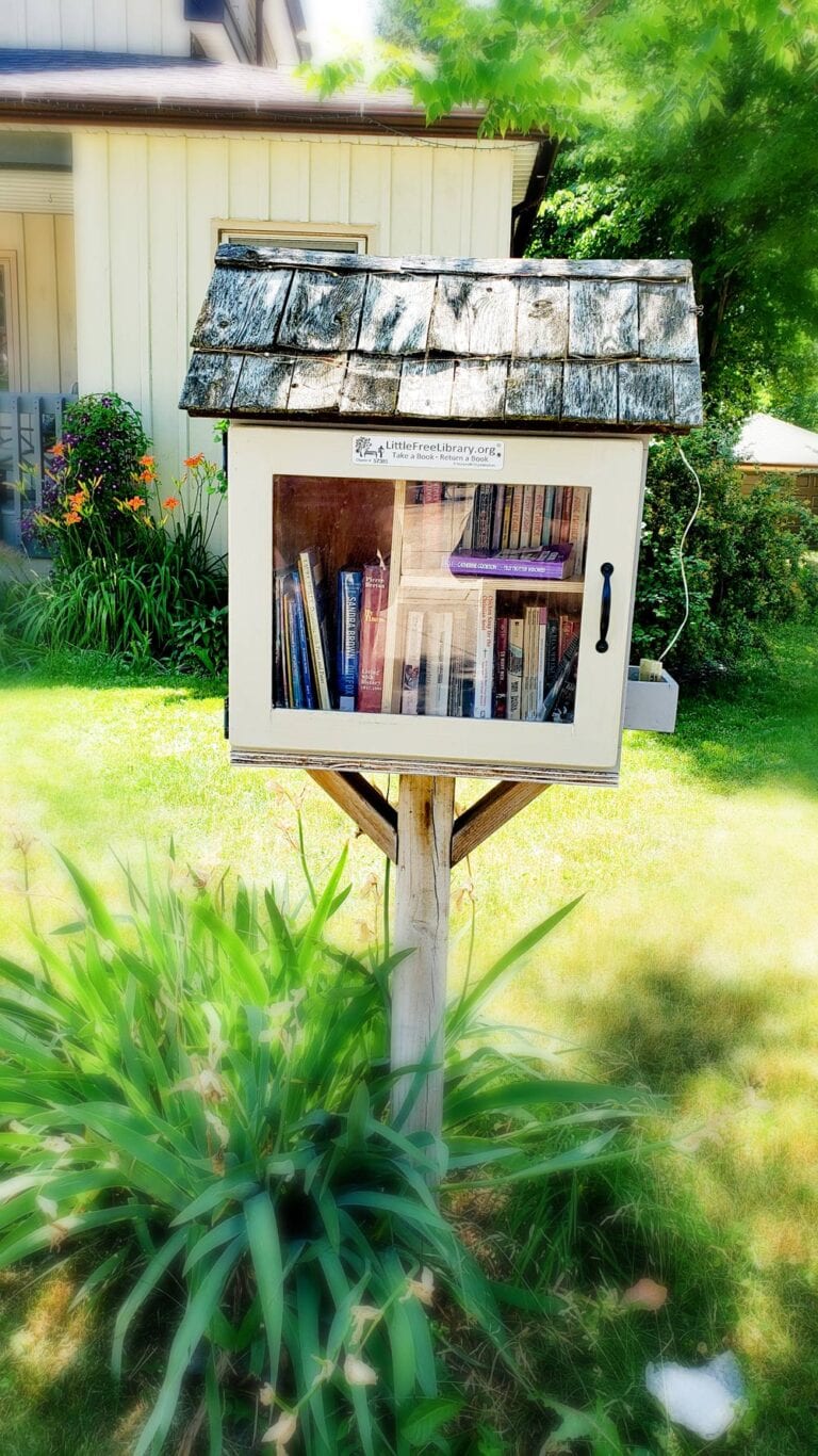 Creative Little Free Library Ideas for Your Neighborhood — Empress of Dirt