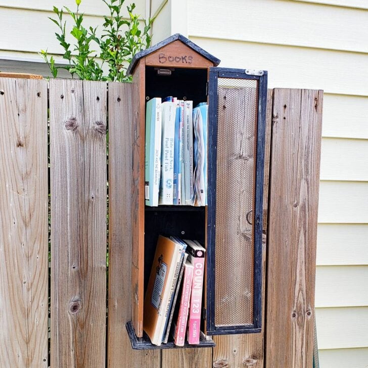 Creative Little Free Library Ideas for Your Neighborhood — Empress of Dirt