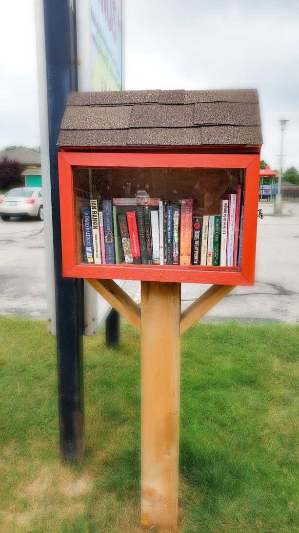 Creative Little Free Library Ideas for Your Neighborhood — Empress of Dirt