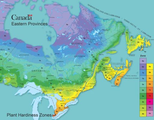 How to Find Your Canadian Plant Hardiness Zone — Empress of Dirt