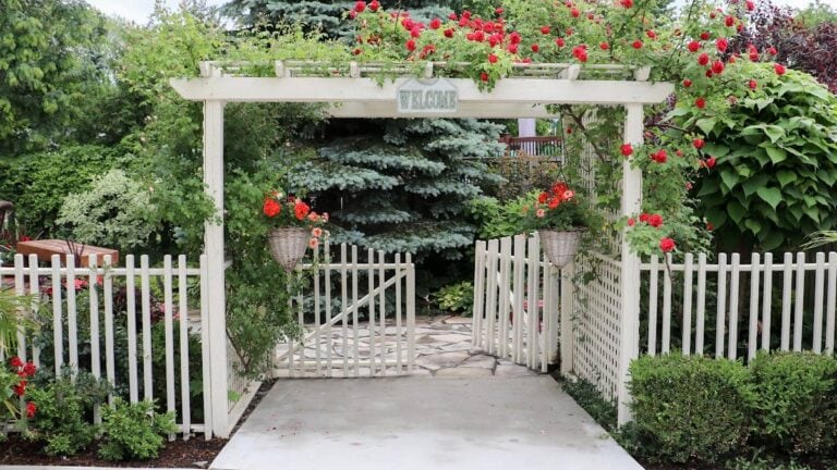 20 Ideas for Better Backyard Privacy — Empress of Dirt