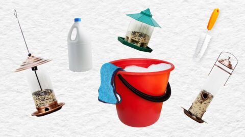 How to Clean Bird Feeders the Right Way — Empress of Dirt