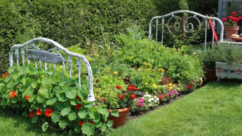Turn a Real Bed Frame Into a Flower Garden Bed — Empress of Dirt