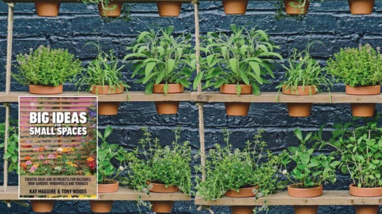 How to Make a Garden Trug — Empress of Dirt