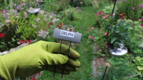 Outdoor Plant Tags & Markers that Last a Lifetime (Really)