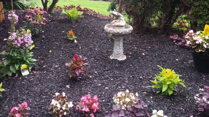 The Cardboard Method For Turning Lawn Into Garden Beds — Empress of Dirt