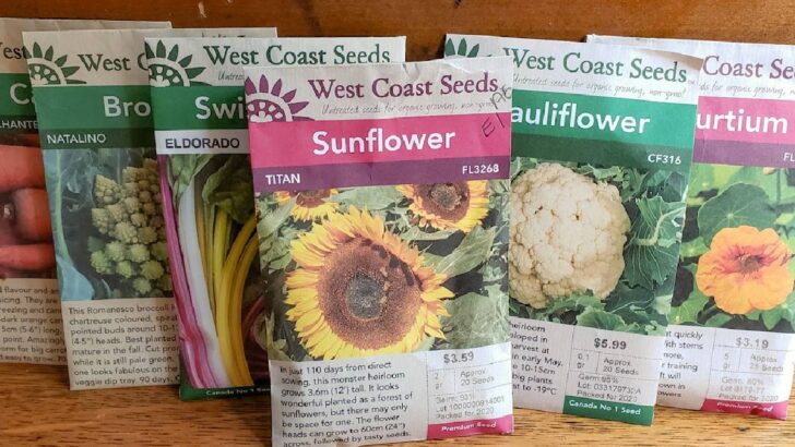 Best Ways to Store Seeds at Home (Fridge & Other Options)