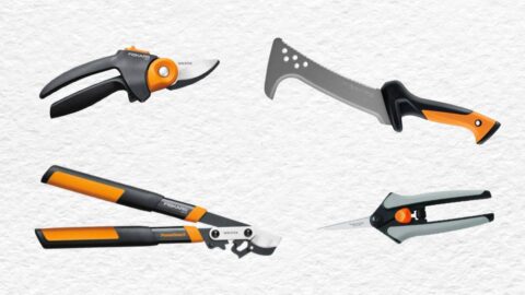 Garden Tool Guide: How to Choose the Right Pruners & Loppers
