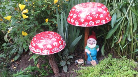 25 Creative Tree Stump Ideas for Backyard Gardens