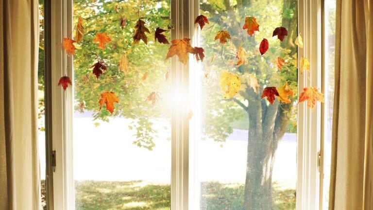 Make a Fall Leaf Window Decoration — Empress of Dirt