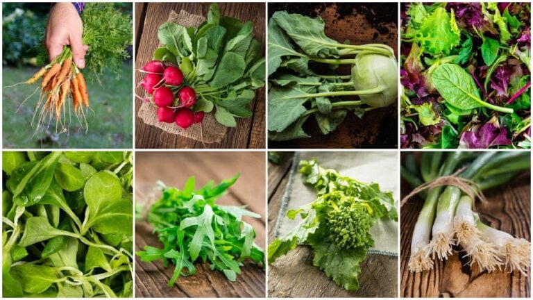 20 Fast-Growing Vegetables in 4-6 Weeks (Spring or Fall)
