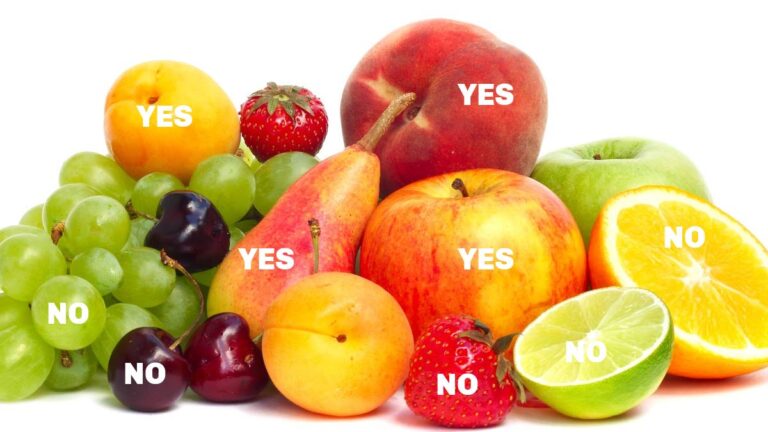 How to Tell Watermelon is Ripe & Ready to Pick — Empress of Dirt