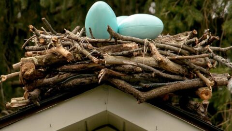 DIY Giant Garden Art Bird Nest — Empress of Dirt