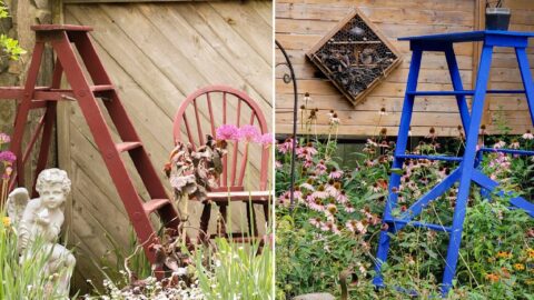40 Unique Container Gardening Ideas