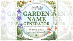 Garden Name Generator: What's Your Garden Name?