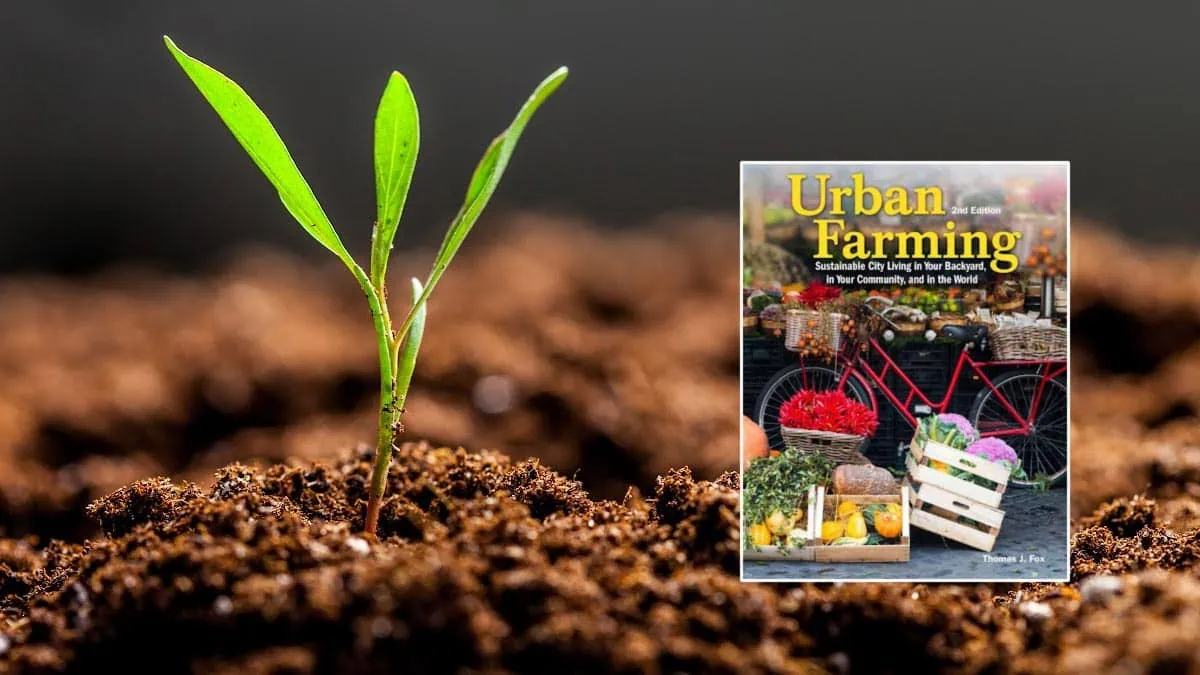 5 Recipes for Blending Your Own Soil Mixes — Empress of Dirt