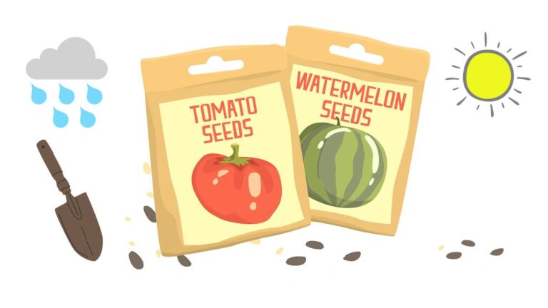 How To Read Seed Packets (Tips for Beginner Gardeners) — Empress of Dirt