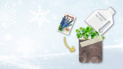 The Complete Guide to Winter Sowing Seeds: Tips & Timing