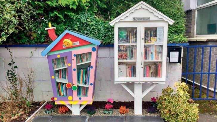 Creative Little Free Library Ideas for Your Neighborhood — Empress of Dirt