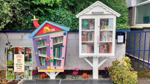 Creative Little Free Library Ideas for Your Neighborhood — Empress of Dirt