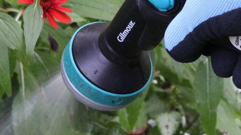 7 Smart Watering Tips for Home Gardeners — Empress of Dirt