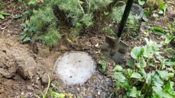 Is Your Soil Well-Draining? Use This Easy Test to Find Out