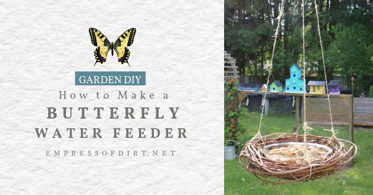 How to Make a Butterfly Water Feeder | Empress of Dirt