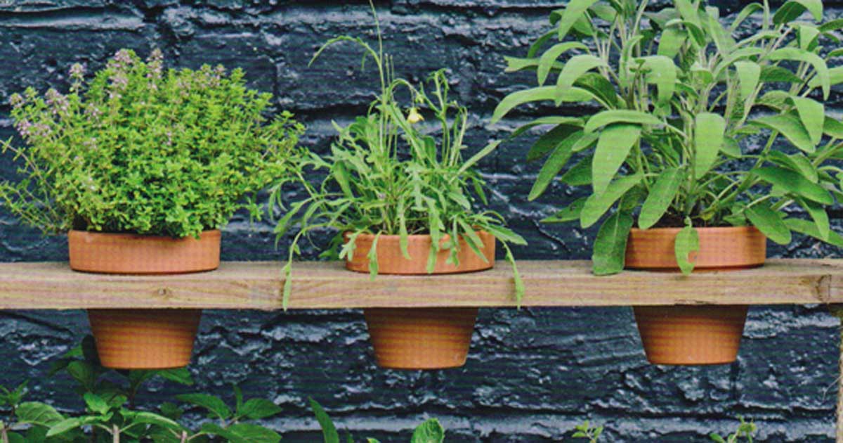 Make Hanging Flower Pot Shelves (Wood + Rope) — Empress of Dirt