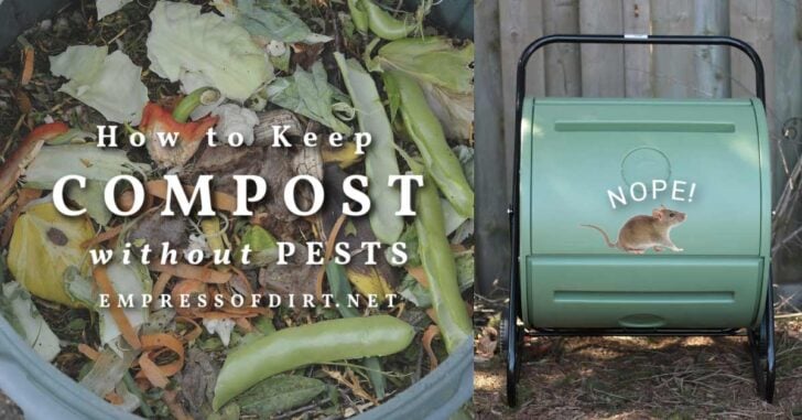 Easy Composting Without Pests (Sorry, Rats!)