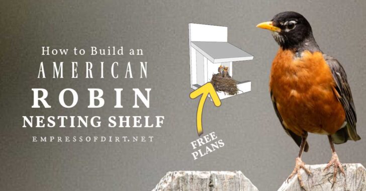 Make a Robin Nesting Shelf (Free Plans) | Empress of Dirt