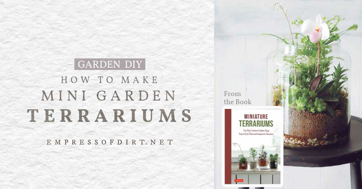Make a Mini Terrarium (5 Step Tutorial) | Empress of Dirt