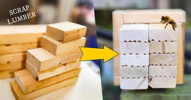 Free Nesting Box Building Plans for Wild Birds — Empress of Dirt