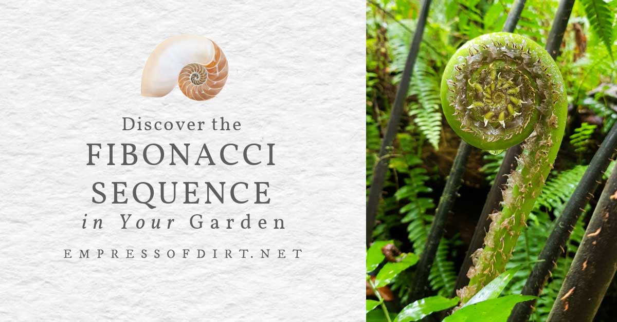 The Beauty of the Fibonacci Sequence in the Garden — Empress of Dirt