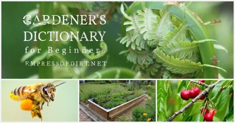 How to Write Botanical Plant Names (Tips For Gardeners)