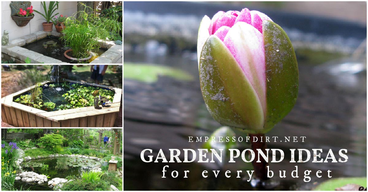 20 Beautiful Backyard Pond Ideas For All Budgets