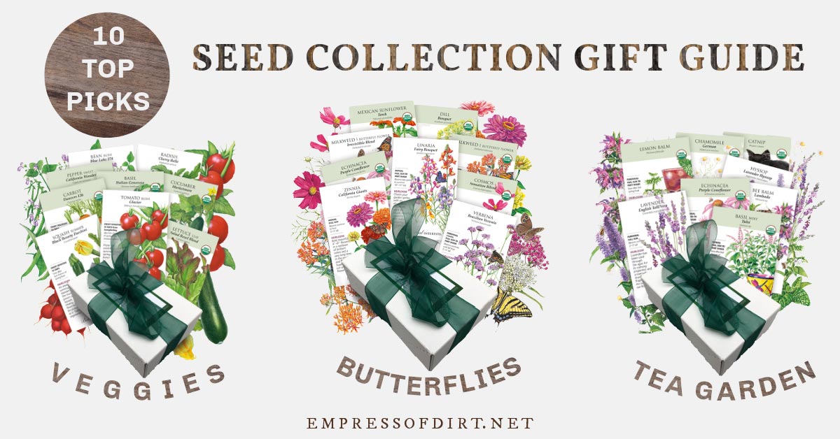 10 Must-Have Seed Collections to Give as Gifts