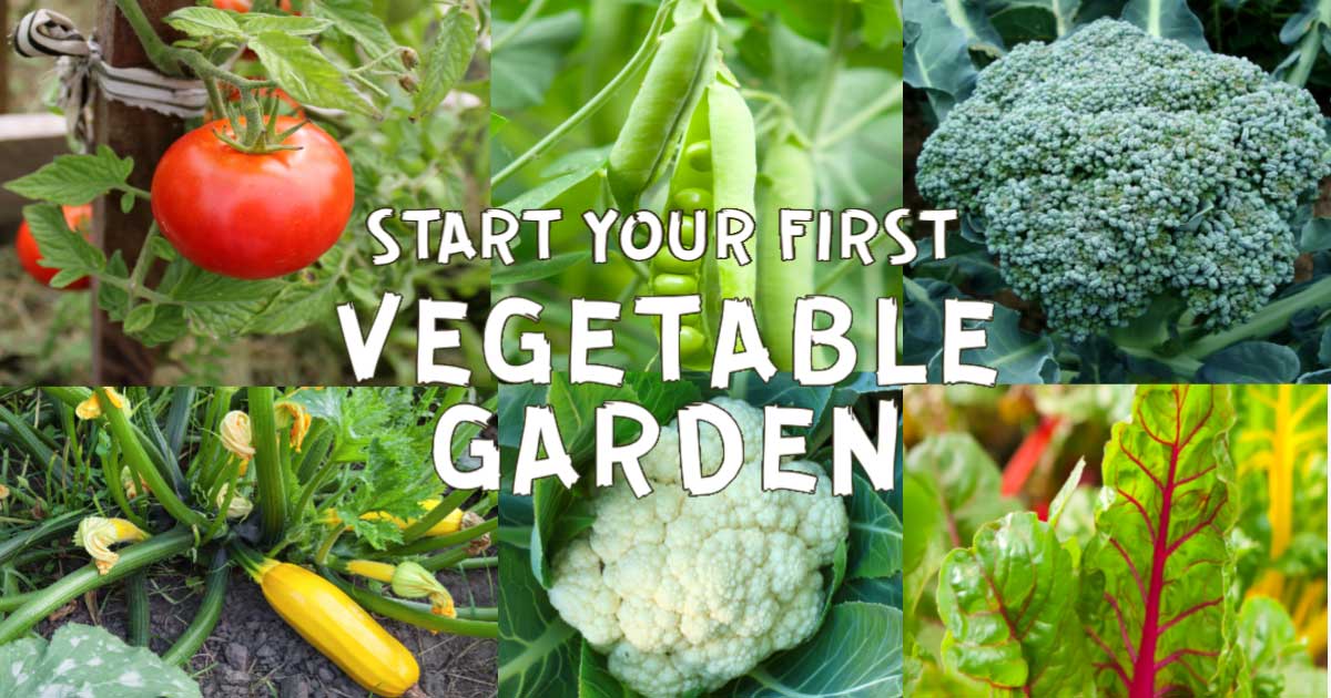 How to Grow Your First Vegetable Garden (Right Now) | Empress of Dirt