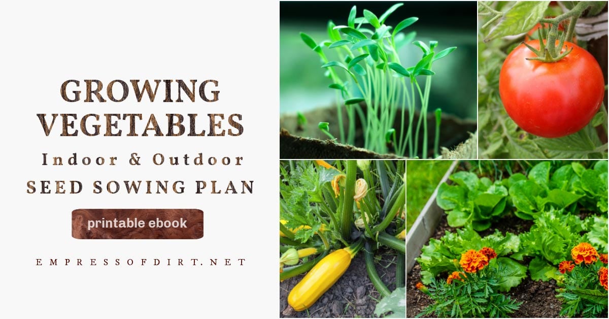 Growing Vegetables: Weekly Indoor & Outdoor Seed Sowing Plan