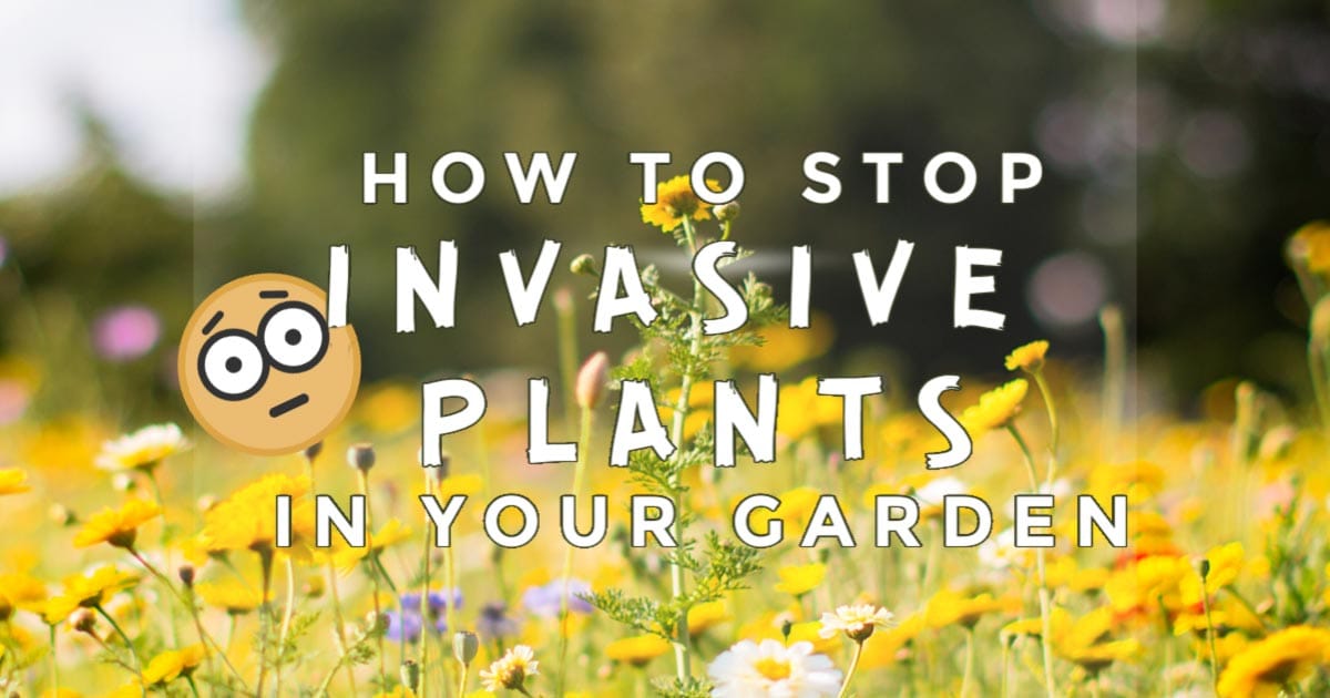 Grow No Harm: How Gardeners Can Help Control Invasive Plants