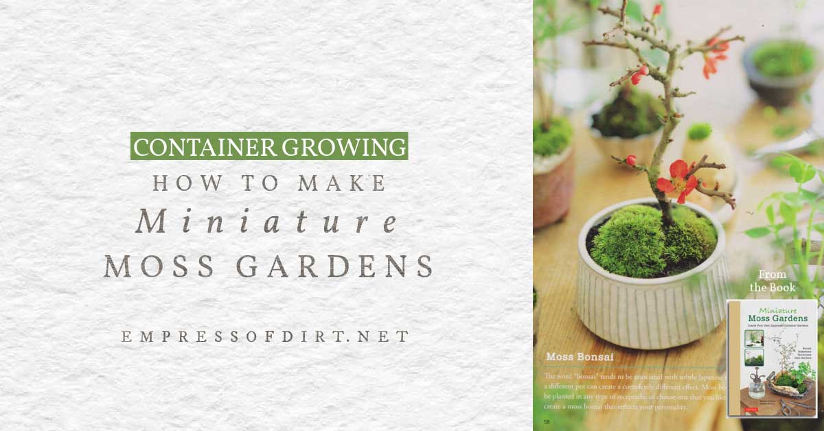 Make a Miniature Moss Bonsai Garden