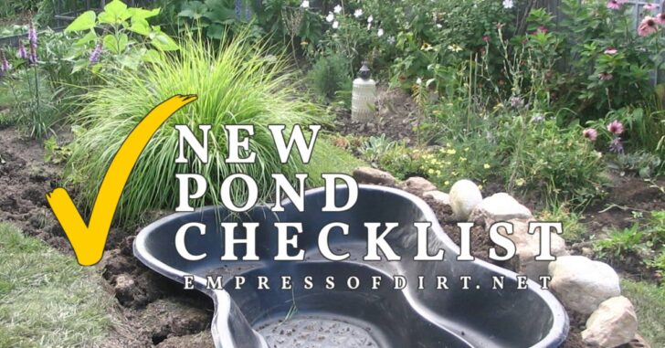 Advice For Starting a Backyard Pond (& Mistakes to Avoid)