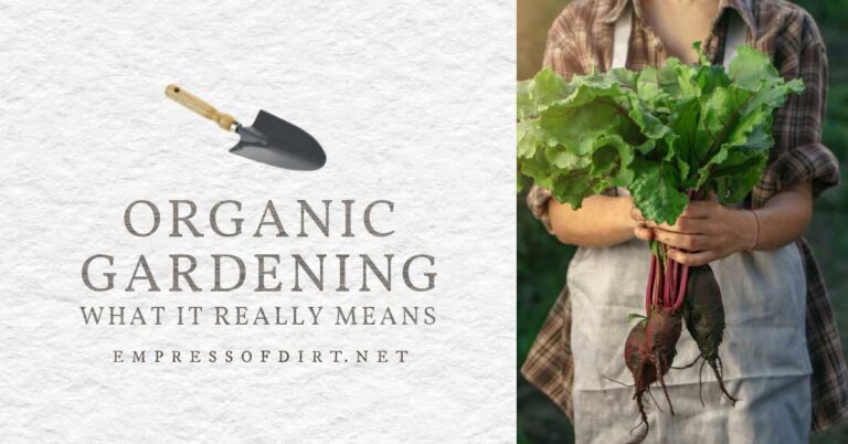 What Does it Mean to "Garden Organically"? Oh. My. Word.